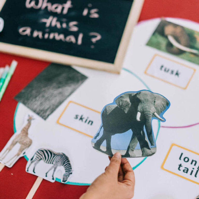 Ace Explorer Kit 1 - Discover Early Years